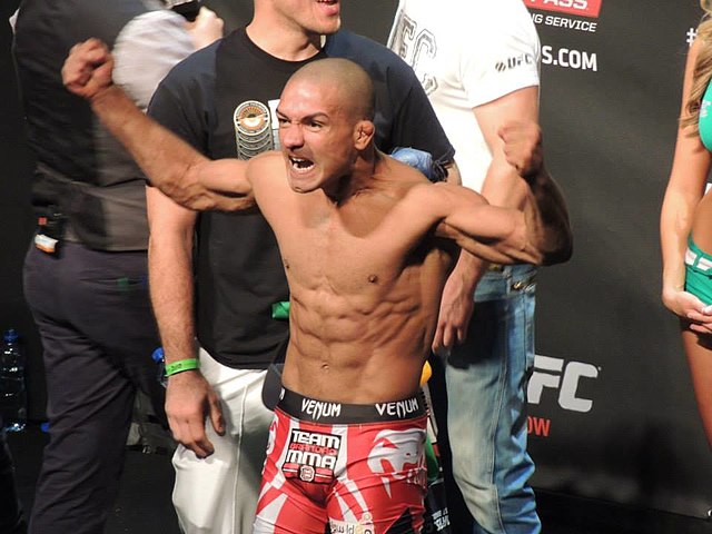 Ultimate Fighter Winners (List of The Ultimate Fighter)